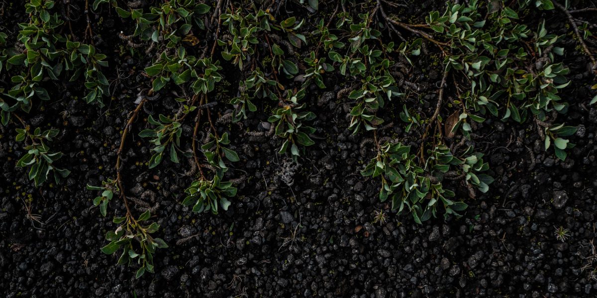 Fredman johtoryhmä - Fredman Group